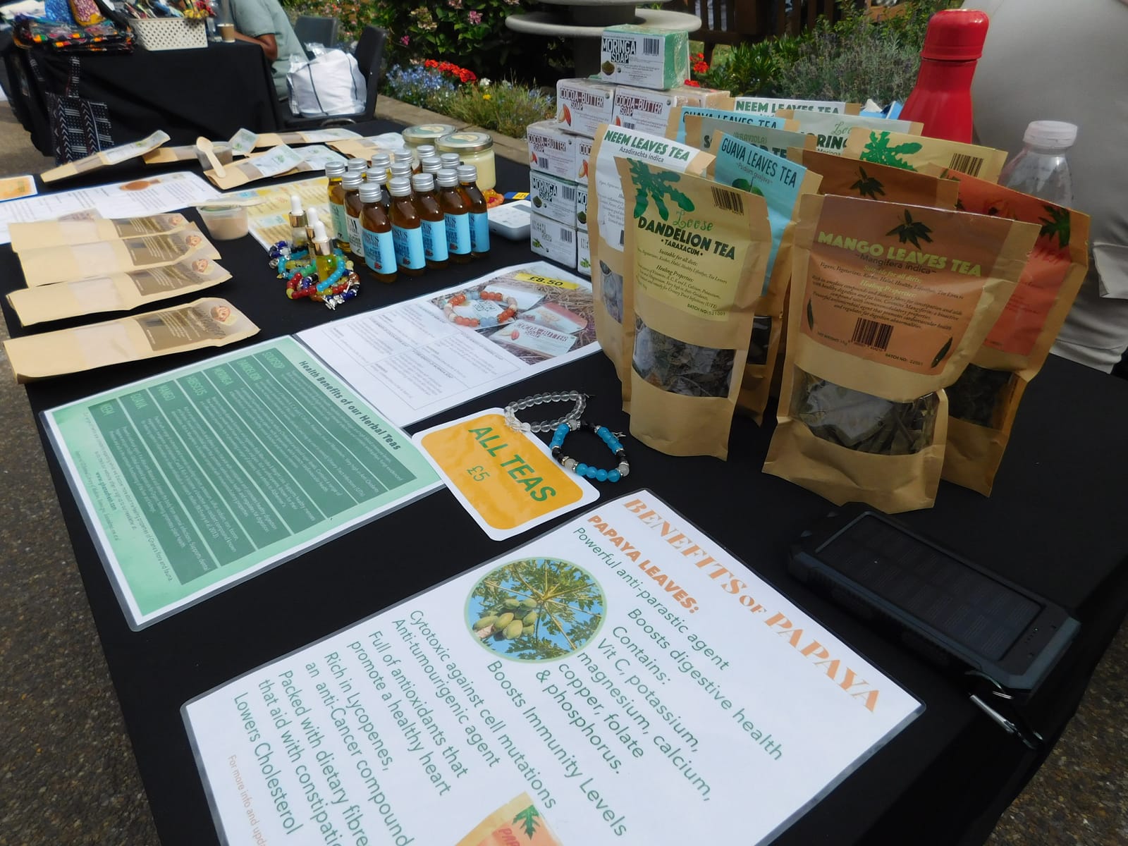 Health Sphere 2025 | Holistic Health & Community Wellness Event in ...
